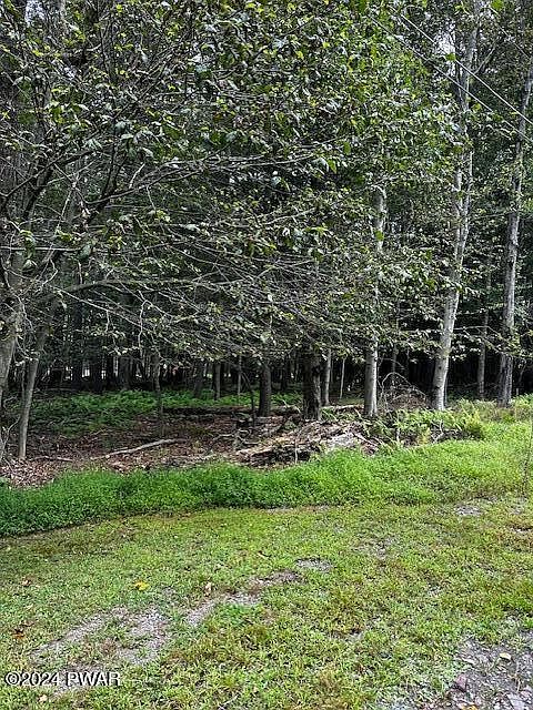 2815 Jean Danielson Dr, Greentown, PA 18426 | MLS #PW242560 | Zillow