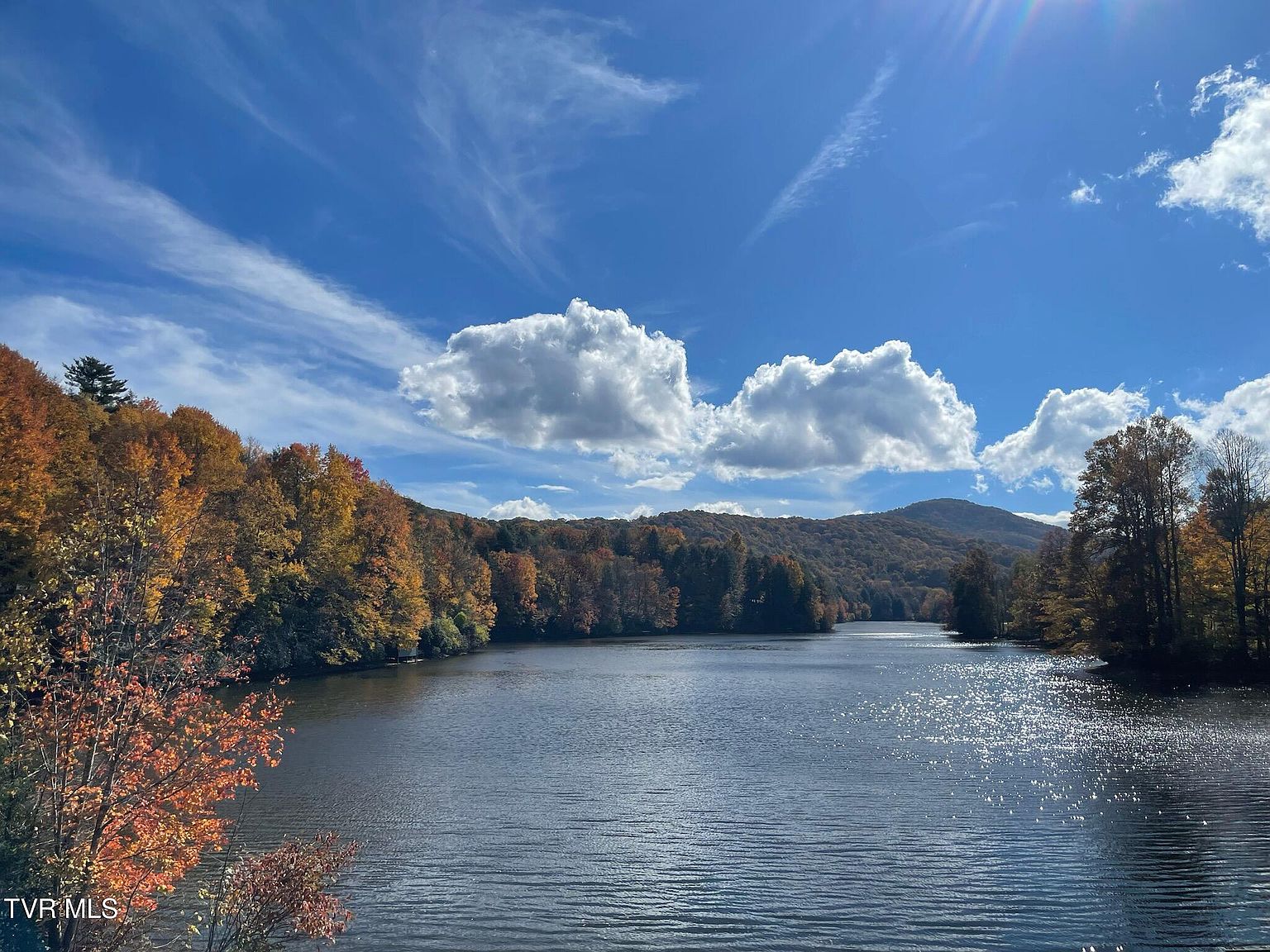 144 Ripshin Lake Rd, Roan Mountain, TN 37687 | MLS #9974878 | Zillow
