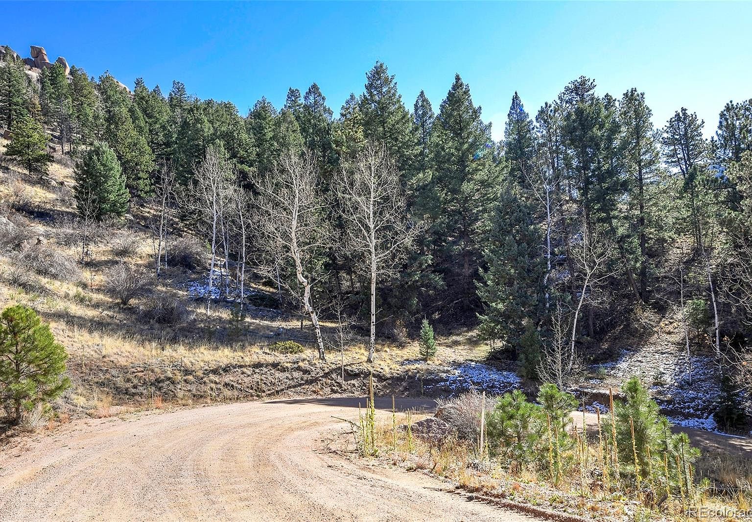 186 Alpine Drive, Cripple Creek, CO 80813 | MLS #6835465 | Zillow