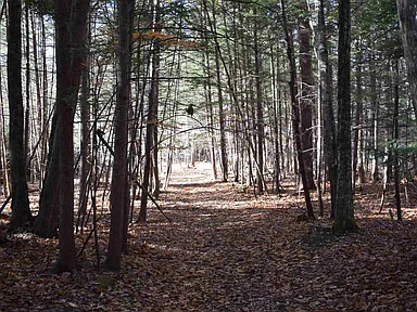 333 Meredith Neck Rd Meredith NH | Zillow