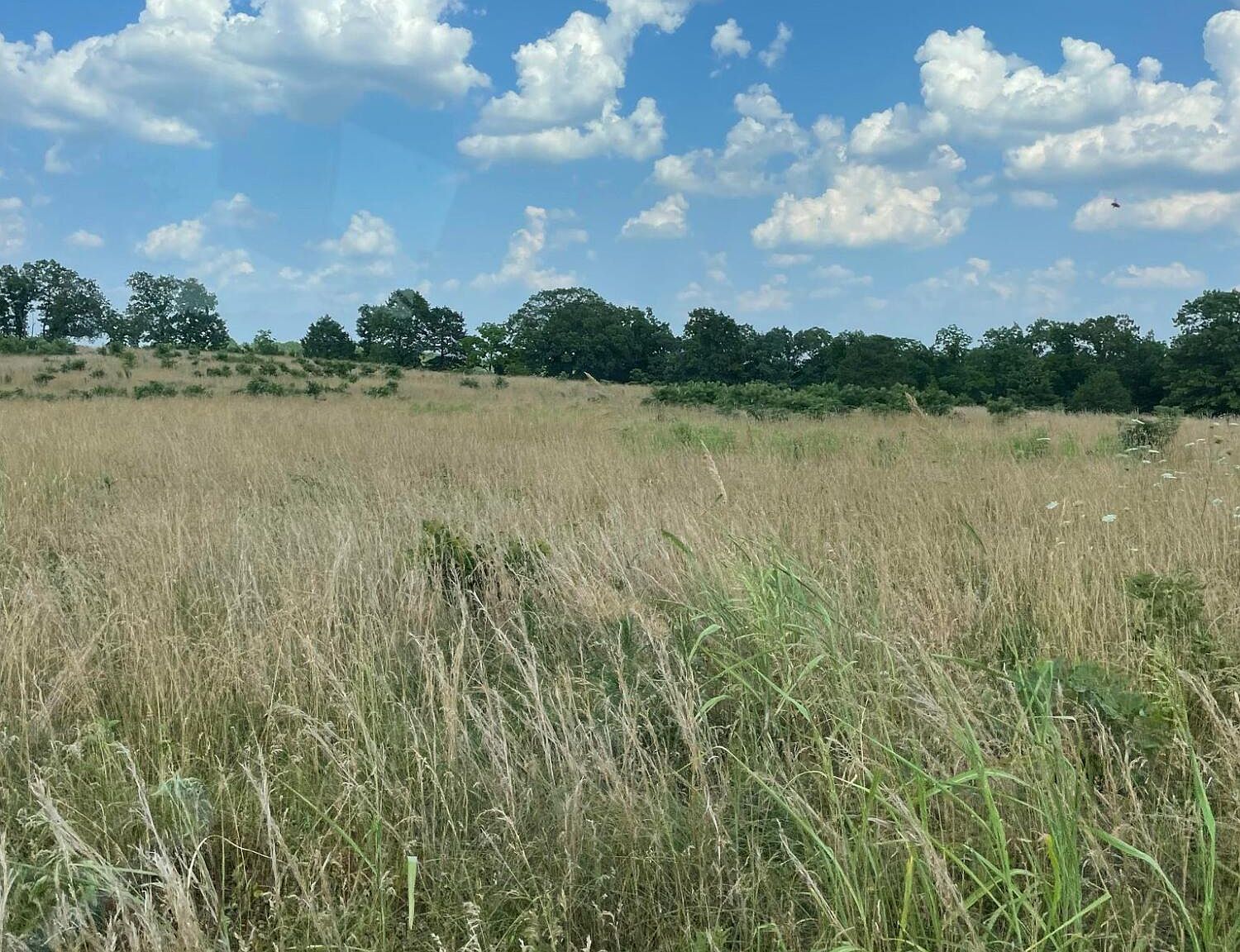 Tbd County Road 949, Squires, MO 65755 | Zillow