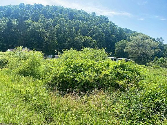 Grass Lick Run, Montrose, WV 26283 | MLS #10154860 | Zillow