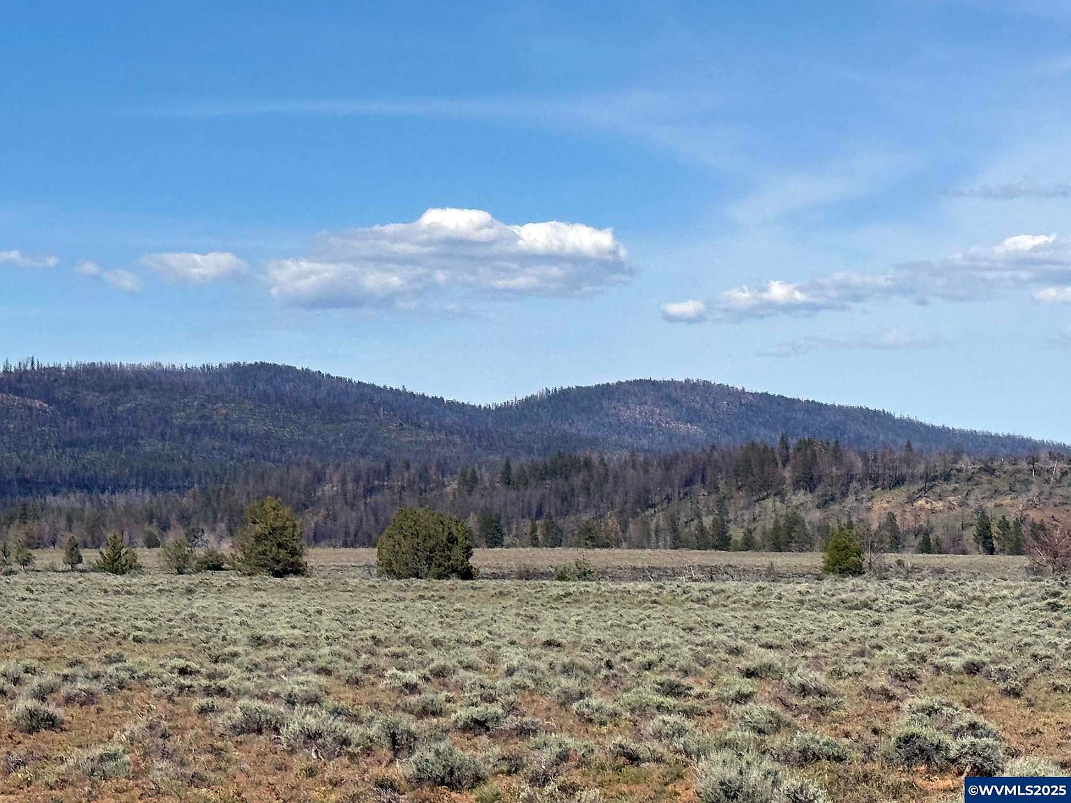 Tl 2000 Oregon Pines Rd, Beatty, OR 97621 | MLS #829706 | Zillow
