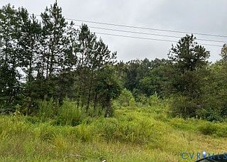 1 Rolfe Ct, Dendron, VA 23839 | MLS #2525238 | Zillow