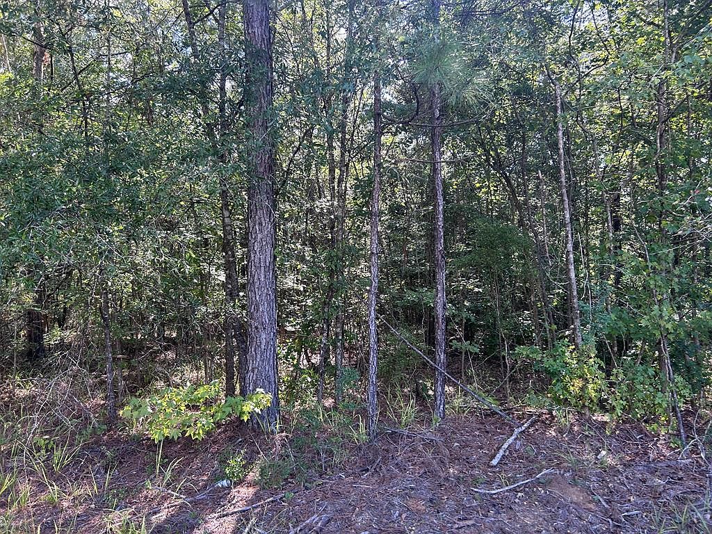 2 Mallard Trl, Summit, MS 39666 | Zillow