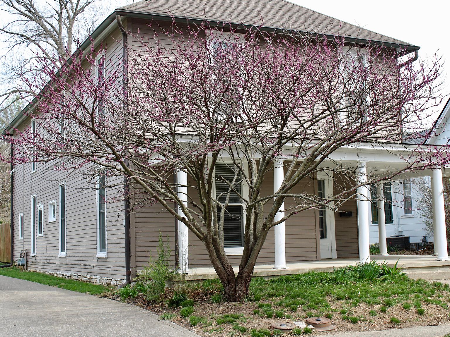 110 E Todd St, Frankfort, KY 40601 | Zillow