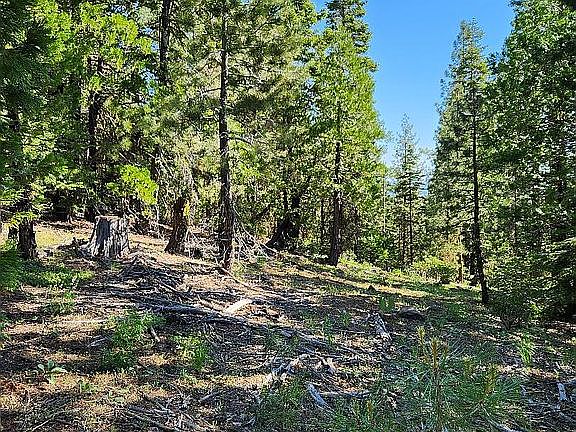 0 California Pines Blvd LOT 53, Alturas, CA 96101 | Zillow