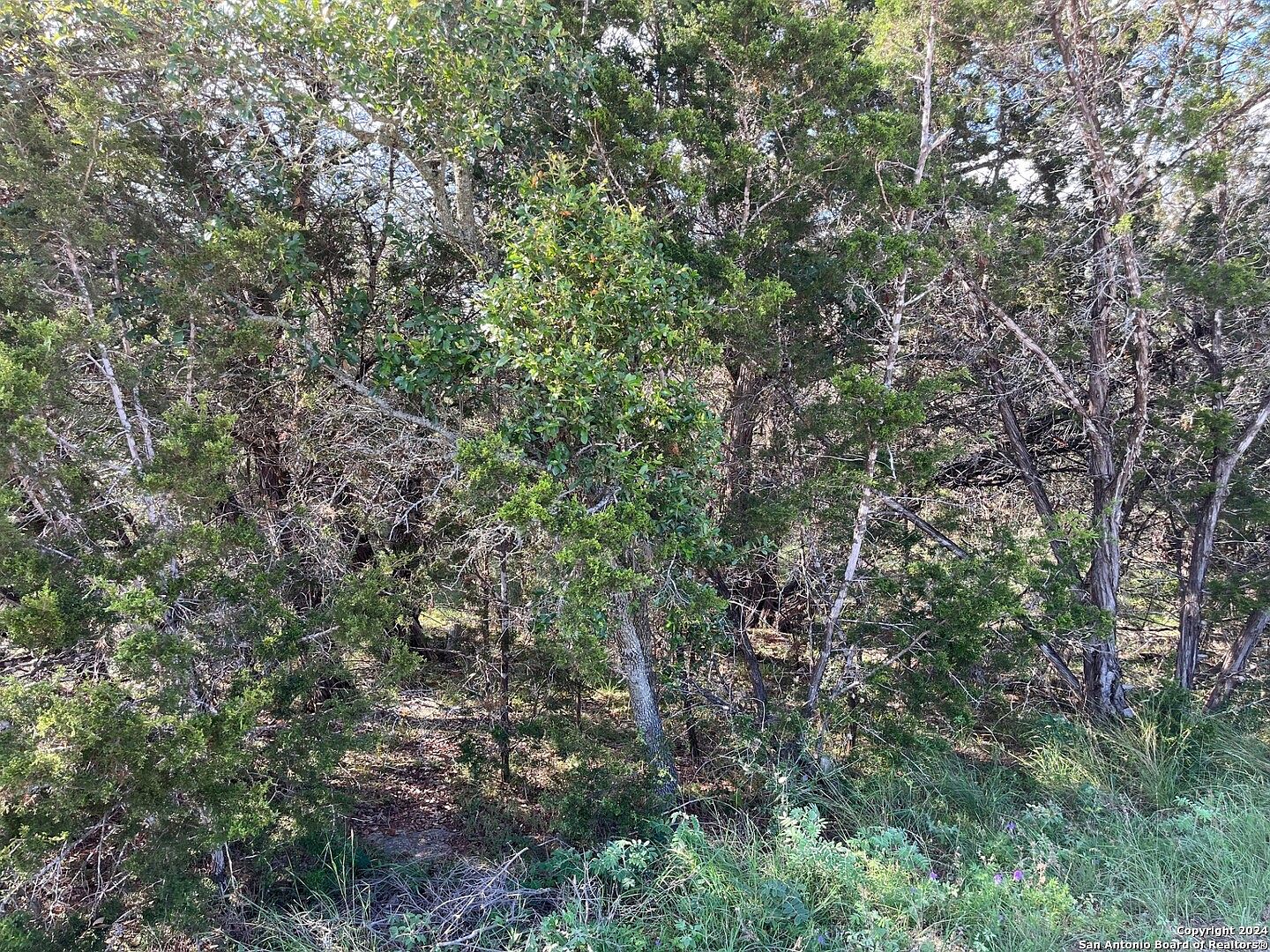 1219 happy hollow LOT 330, New Braunfels, TX 78132 | MLS #1785309 | Zillow