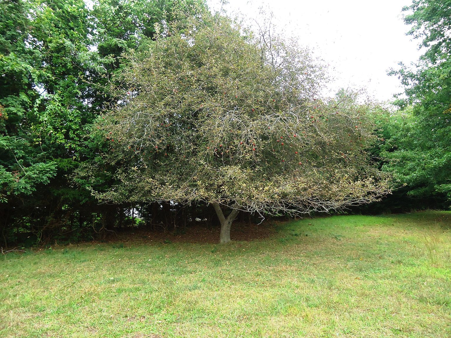 795 Cedar Dr, Southold, NY 11971 | Zillow