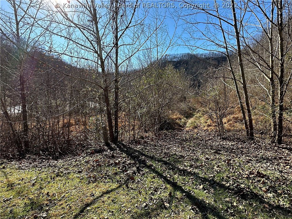0 Copperas Mine Fork Rd, Holden, WV 25625 | Zillow