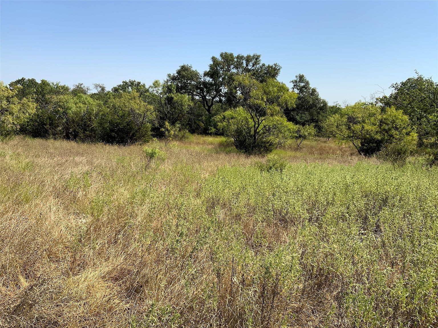 1133 County Road 175, Sidney, TX 76474 | Zillow