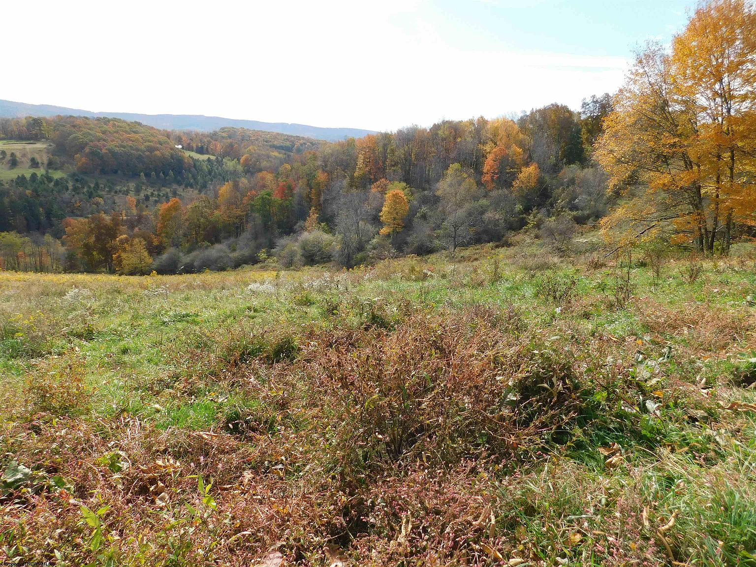 286A Heishman Dr, Eglon, WV 26716 | MLS #10146434 | Zillow