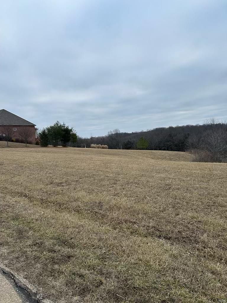 916 Wellington Rdg, Festus, MO 63028 | Zillow