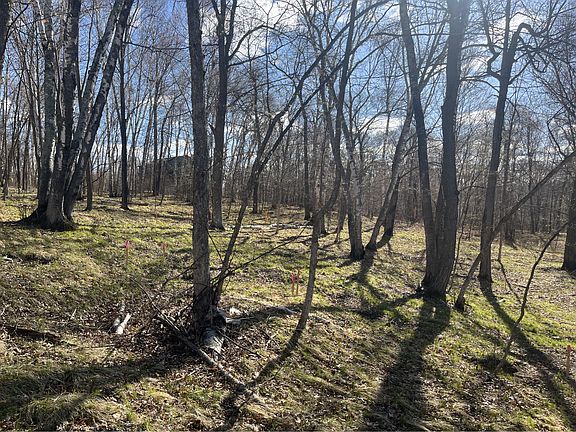 Wilderness Pkwy, Crosslake, MN 56442 | MLS #7063503 | Zillow