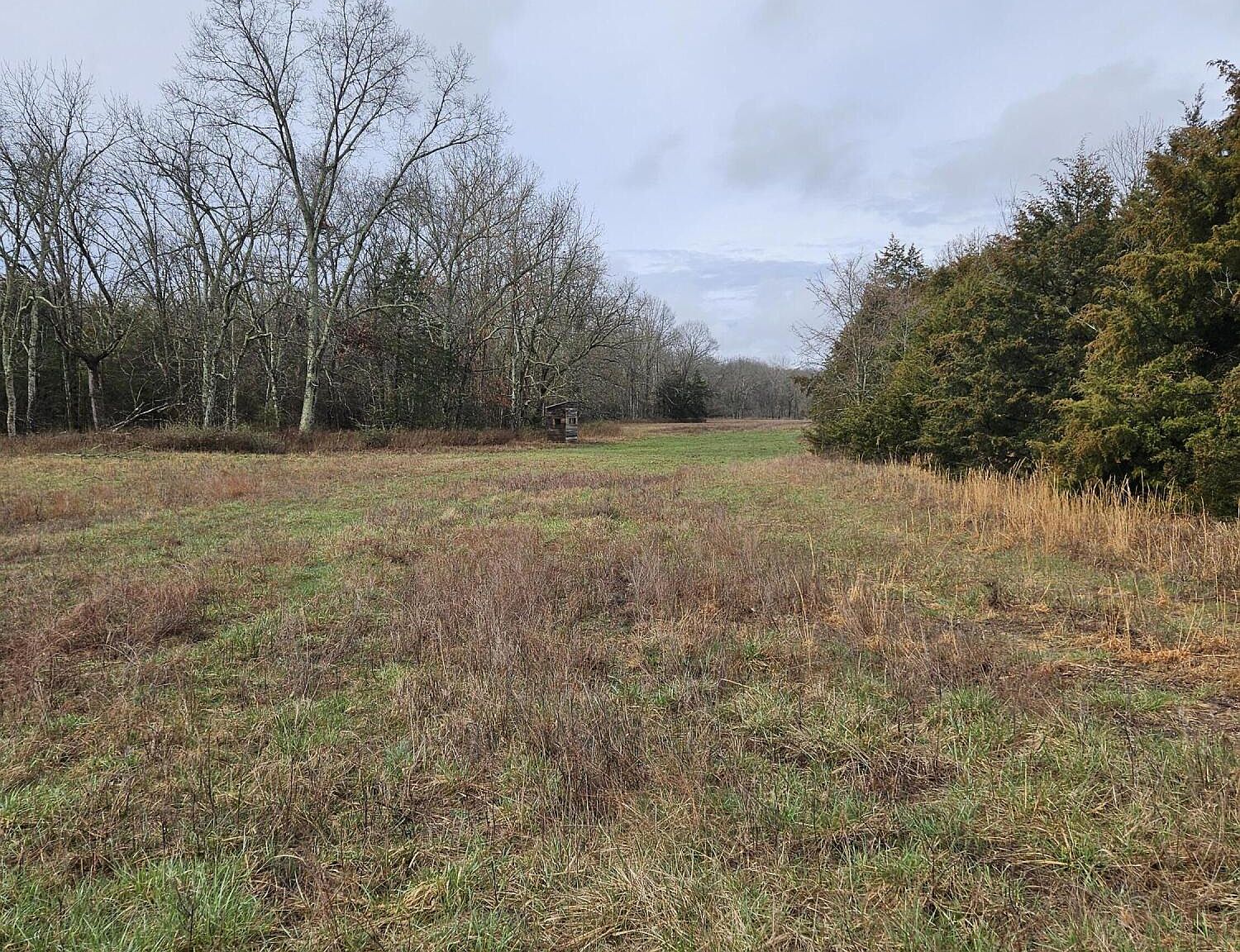 000 State Highway 5, Noble, MO 65715 | MLS #60262937 | Zillow