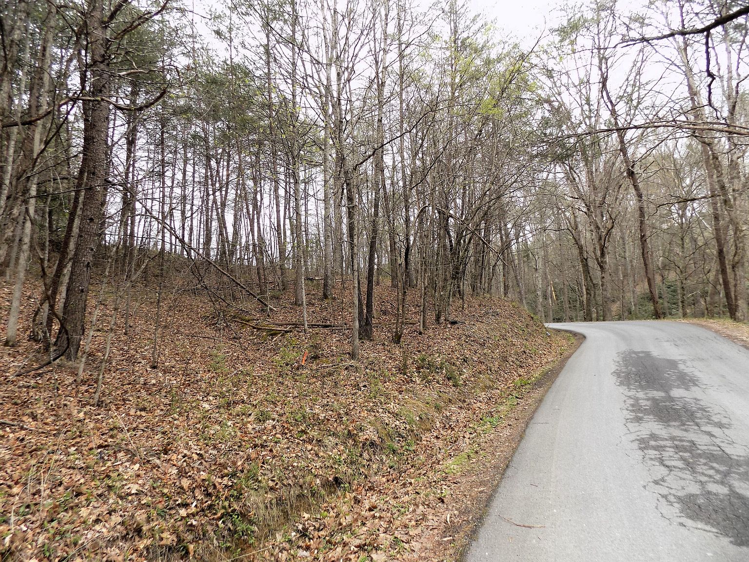 LOT 61 Deerfoot Rd, Cosby, TN 37722 | Zillow