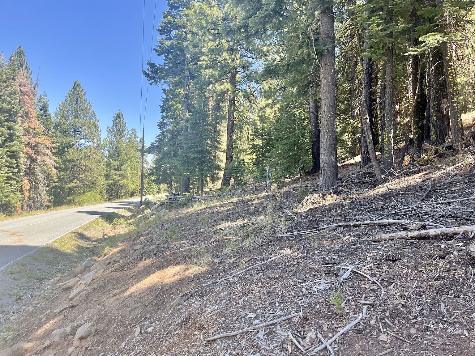 California Pines Blvd, Alturas, CA 96101 | MLS #2906203 | Zillow