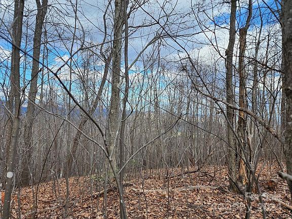 48 Peseco Dr, Bostic, NC 28018 | MLS #4111557 | Zillow