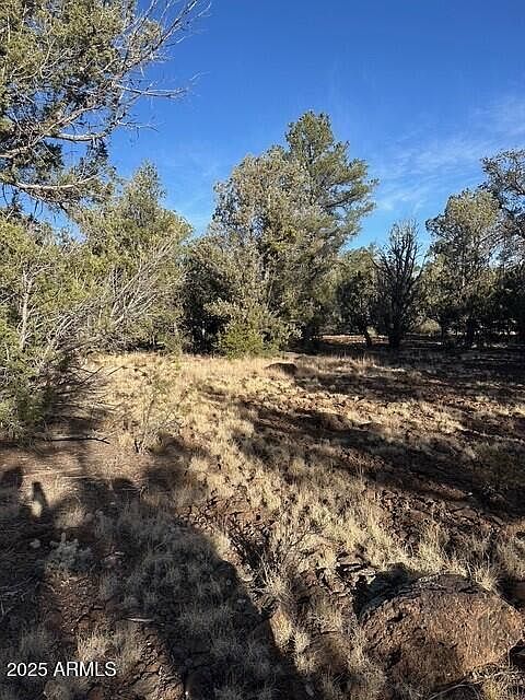 Anvil Anvil #30111302, Seligman, AZ 86337 | MLS #6859748 | Zillow