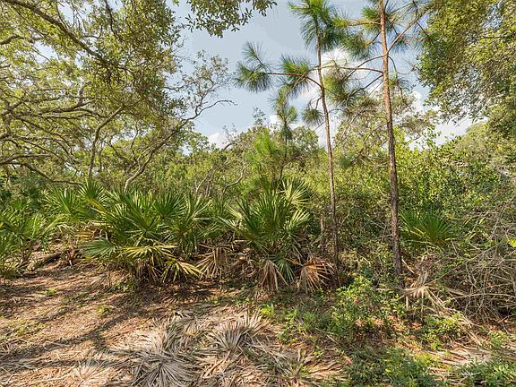 Micklers Rd, Saint Augustine, FL 32080 | MLS #253717 | Zillow