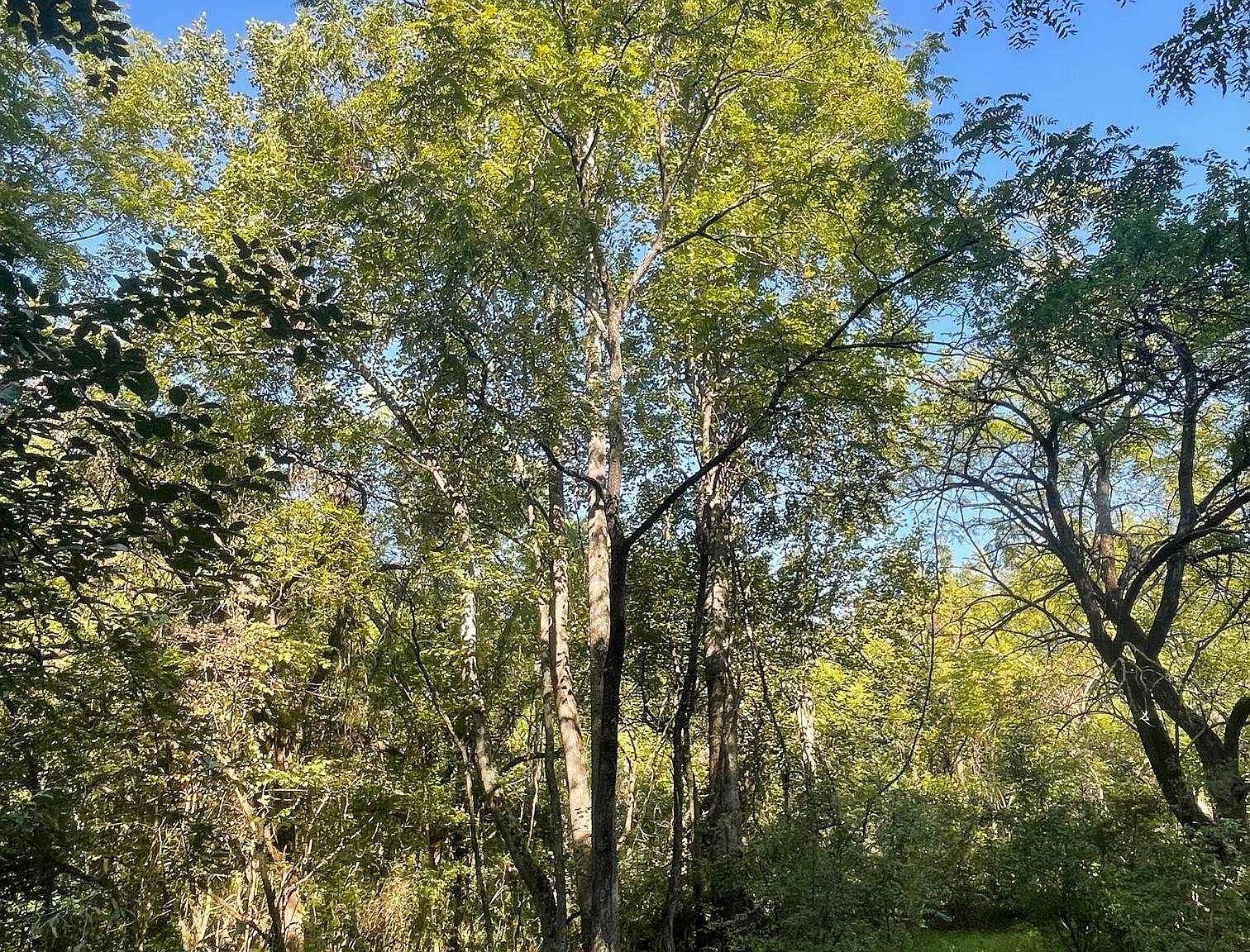 Stony Point Pass #30E, Keswick, VA 22947 | MLS #645866 | Zillow