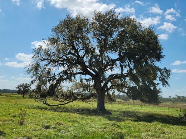 Venus FL Real Estate - Venus FL Homes For Sale | Zillow