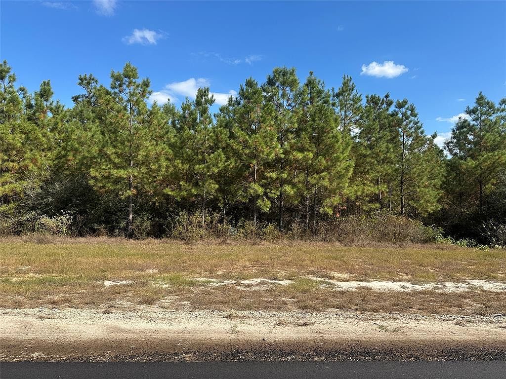 16307 Ridge Oak Rd, Willis, TX 77378 | MLS #63663034 | Zillow