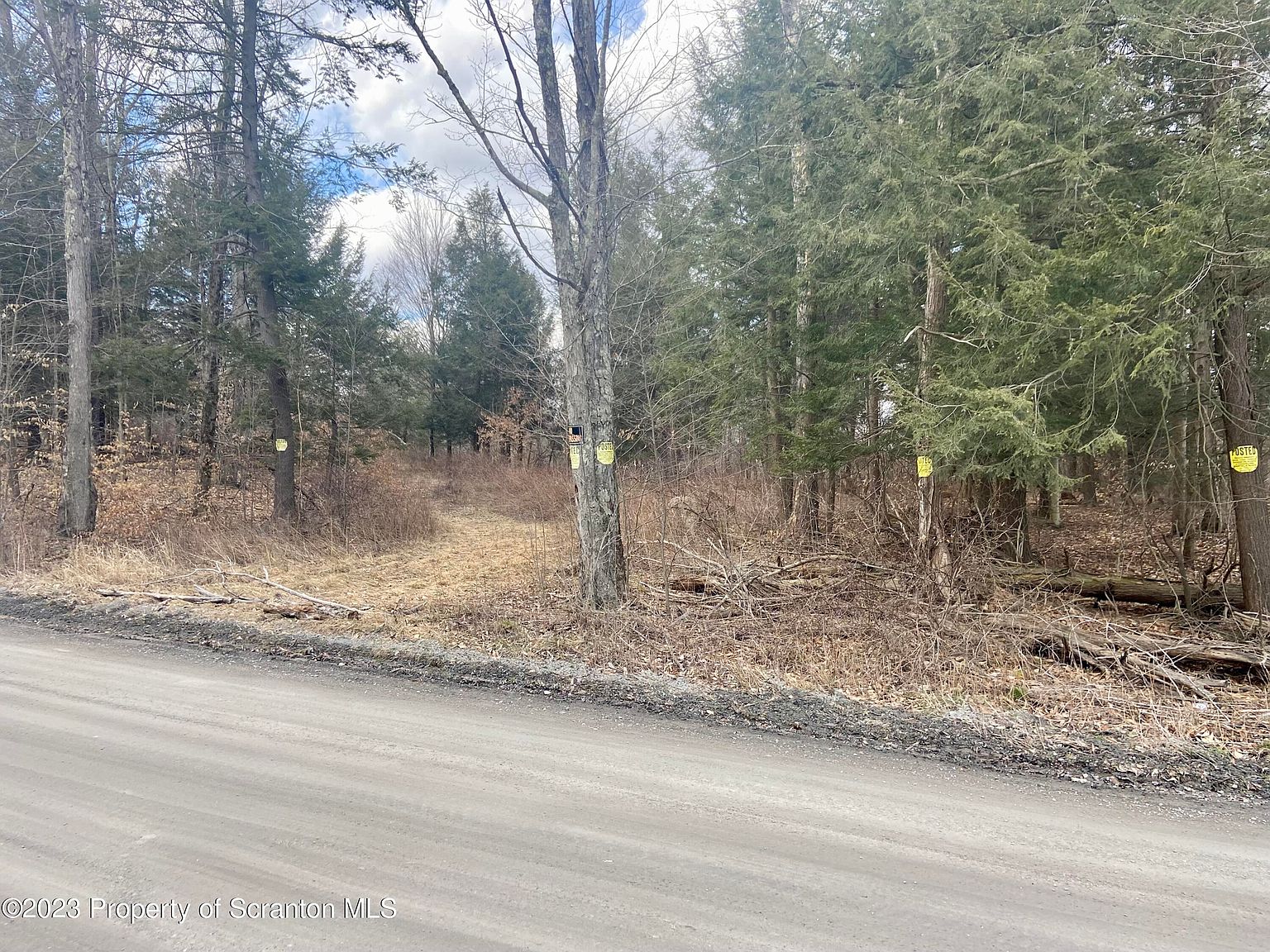 Red Abbott Rd, Union Dale, PA 18470 | MLS #23-1116 | Zillow