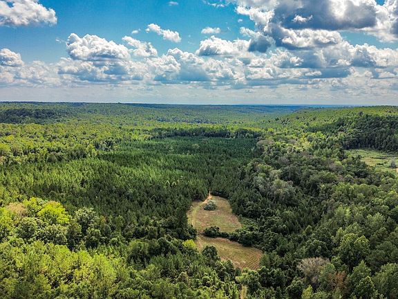 0 Moonlight Rd, Jones, AL 36749 | MLS #11271513 | Zillow