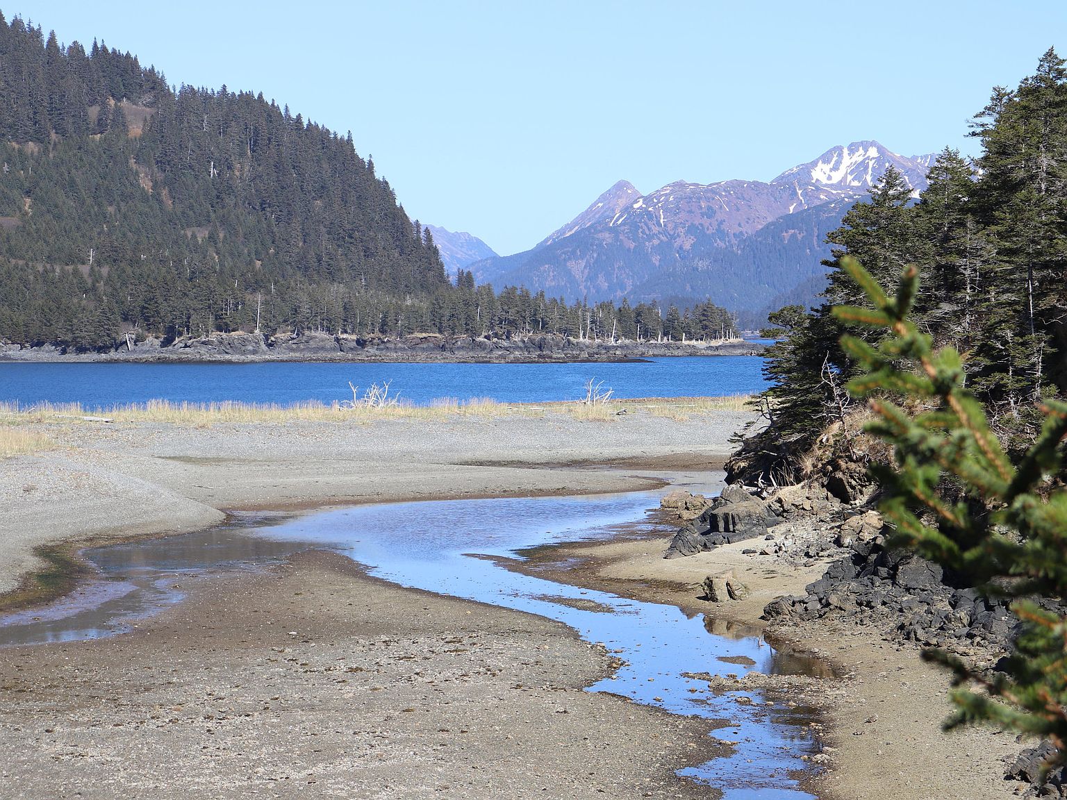 L4 Chrome Bay, Port Graham, AK 99603 | Zillow