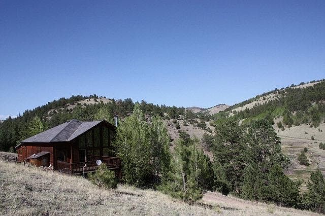 905A Jean Mann Dr, Guffey, CO 80820 | Zillow