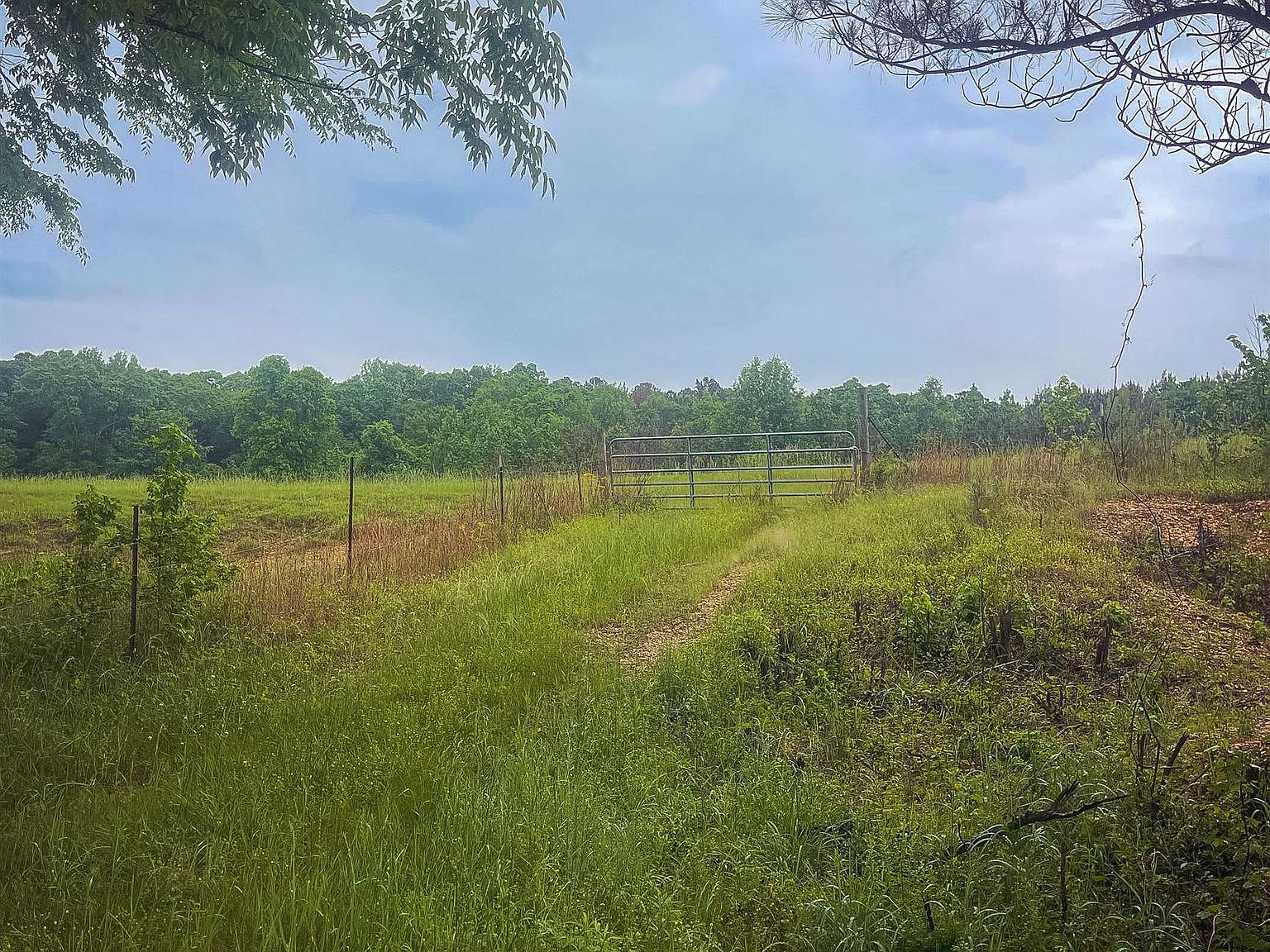 250 County Road 132, Vina, AL 35593 | Zillow