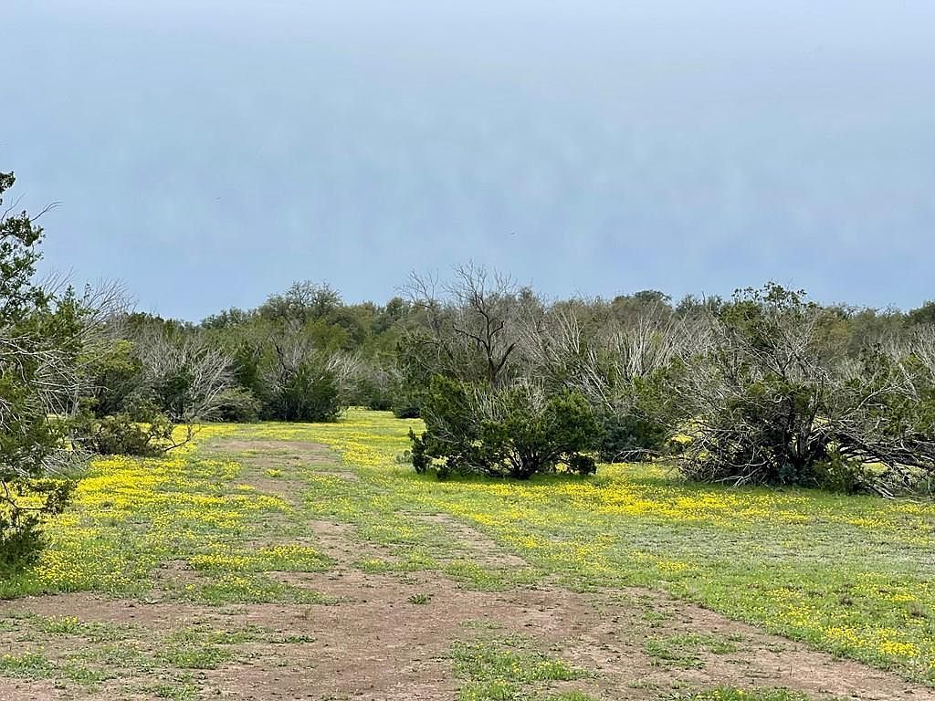 1448 County Road 312 #106, Eldorado, TX 76936 | MLS #119484 | Zillow