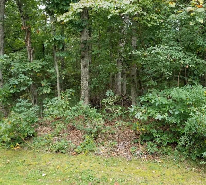 Mushroom Rd, Snover, MI 48472 | Zillow