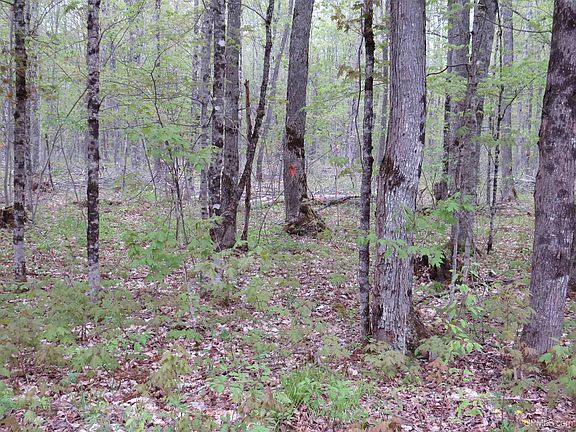 Off Silver Mountain 425 On Some Maps Rd, Pelkie, MI 49958 | MLS ...