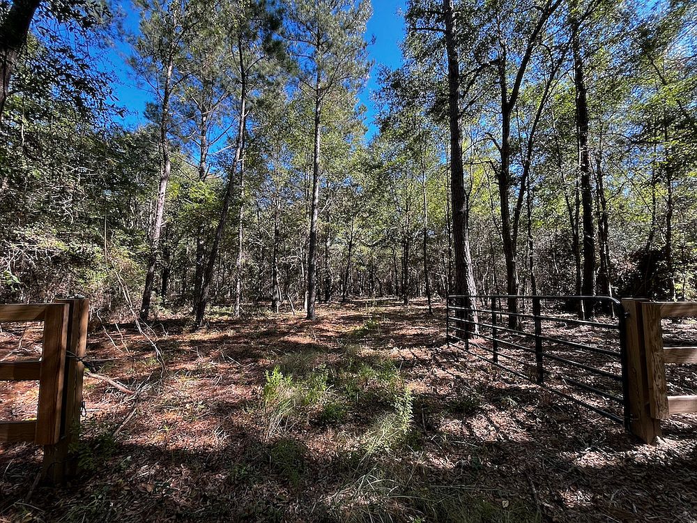Springtown Rd LOT WP001, Bamberg, SC 29003 | MLS #91749 | Zillow