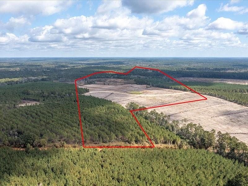 3 Segno Fire Ln, Livingston, TX 77351 | MLS #31140532 | Zillow