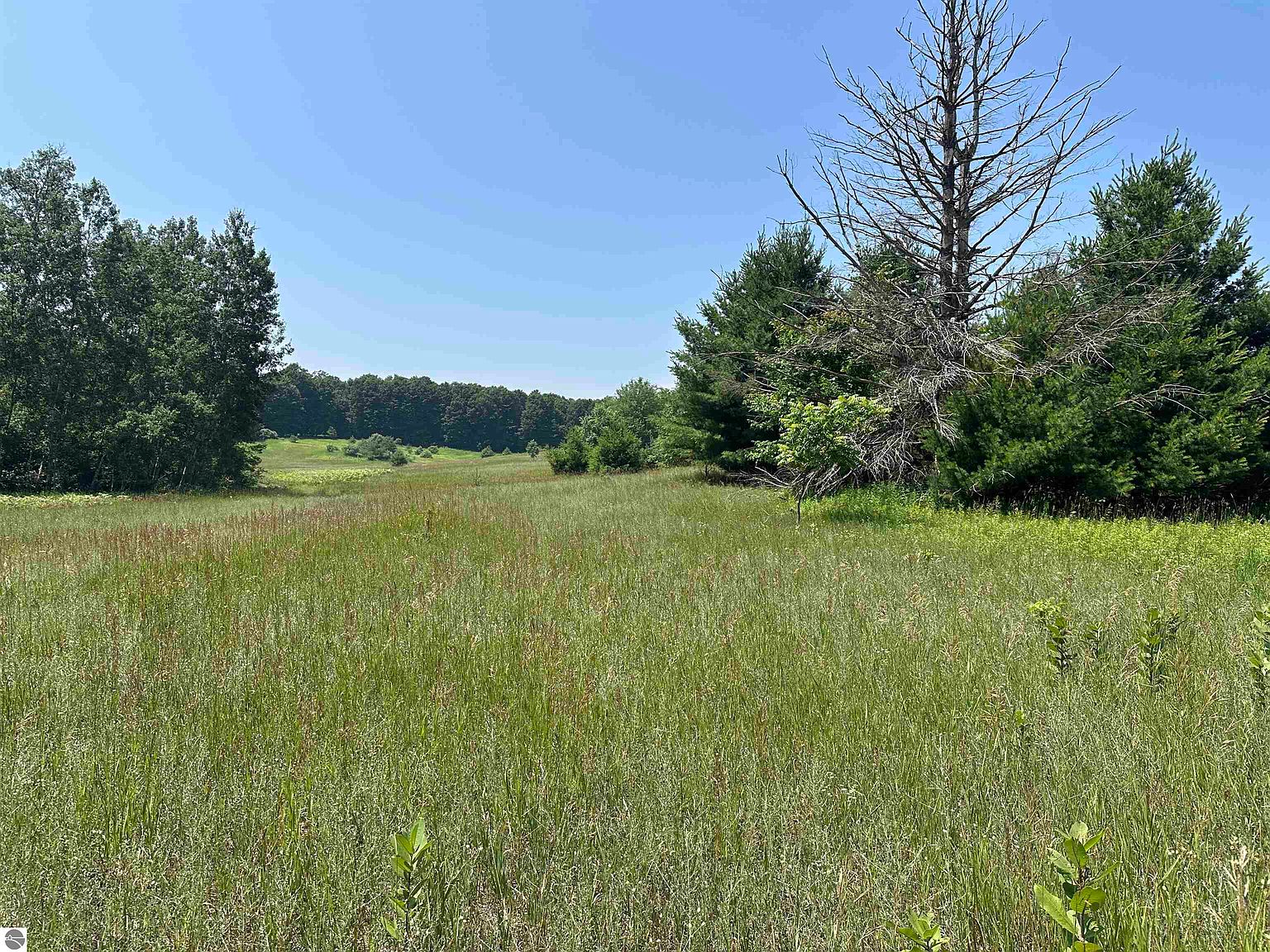 PARCEL 3 S Bright Rd, Maple City, MI 49664 | MLS #1941443 | Zillow