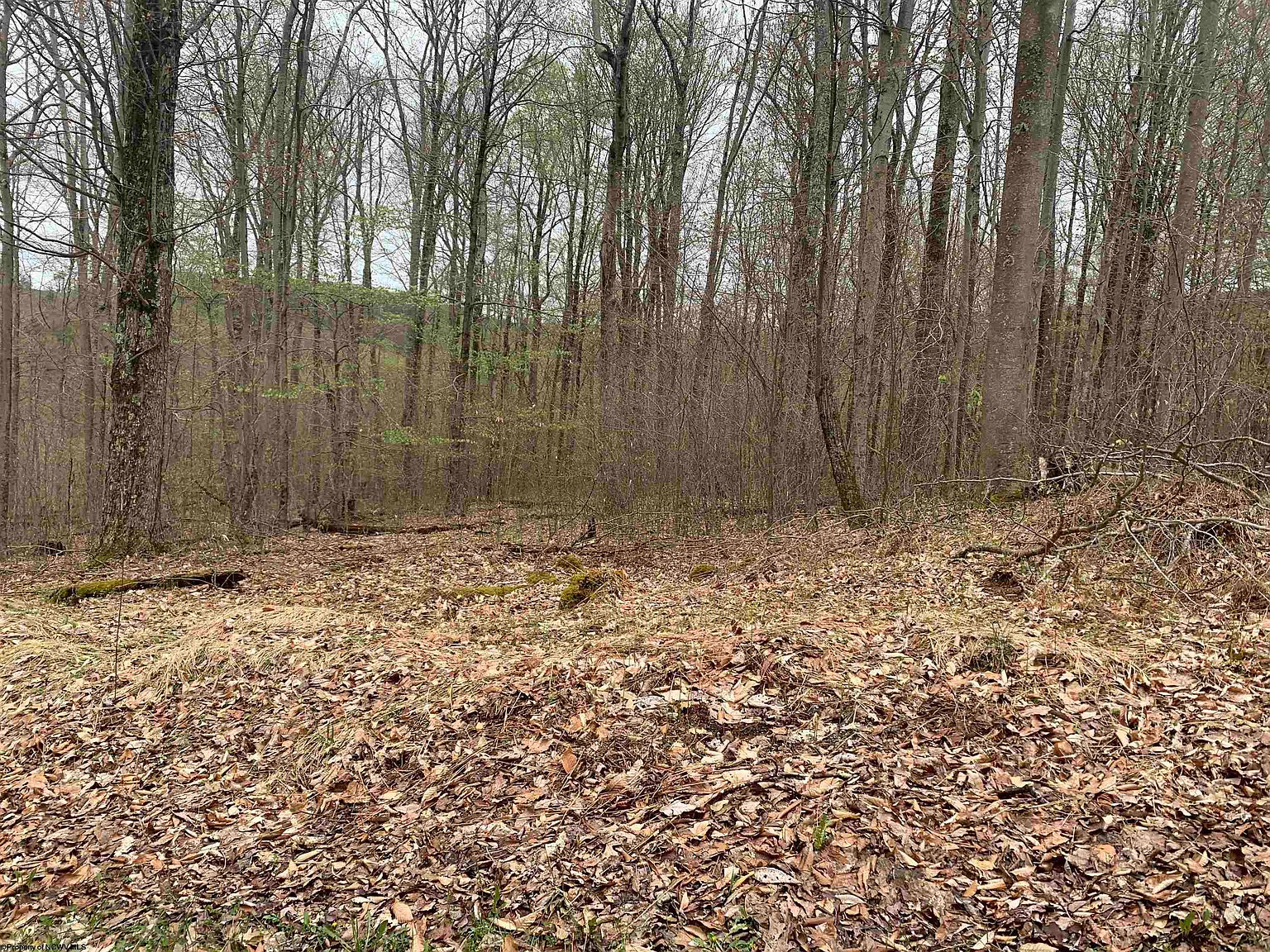 4 Sully Rd, Bowden, WV 26254 | Zillow