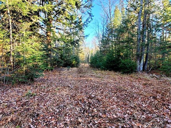 Nelson Landing Rd, Three Lakes, WI 54562 | MLS #199588 | Zillow