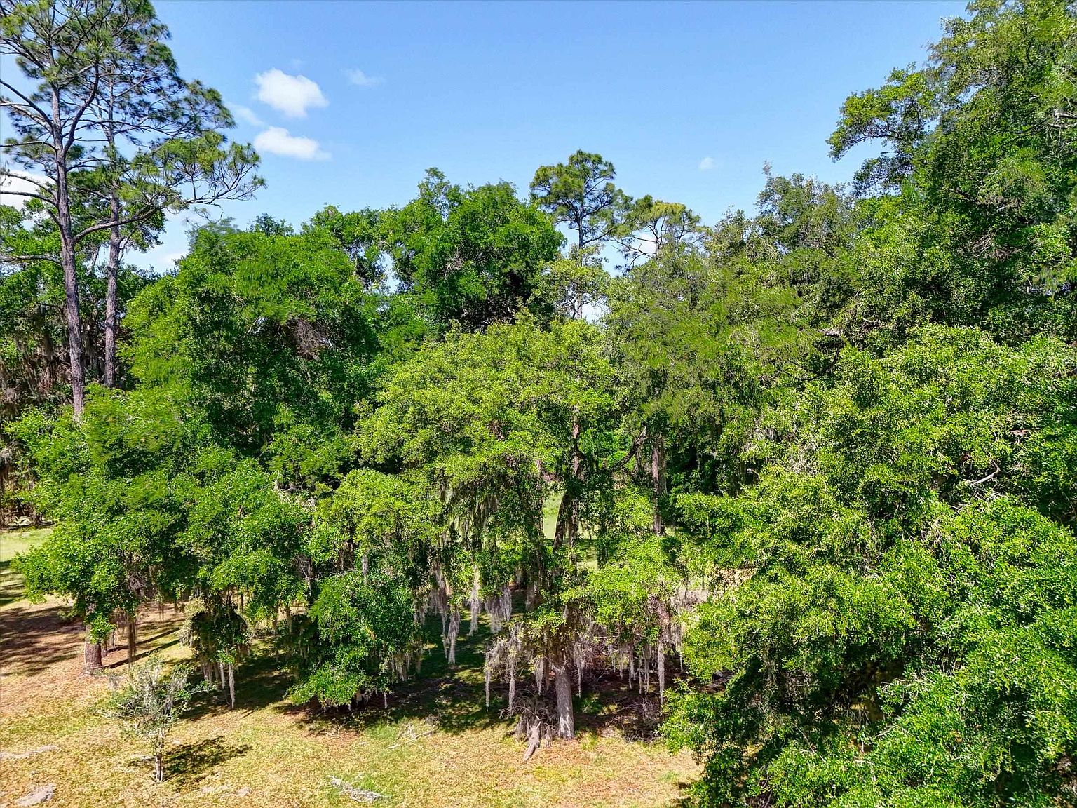 0 Carter Rd, Saint Augustine, FL 32086 | MLS #252446 | Zillow