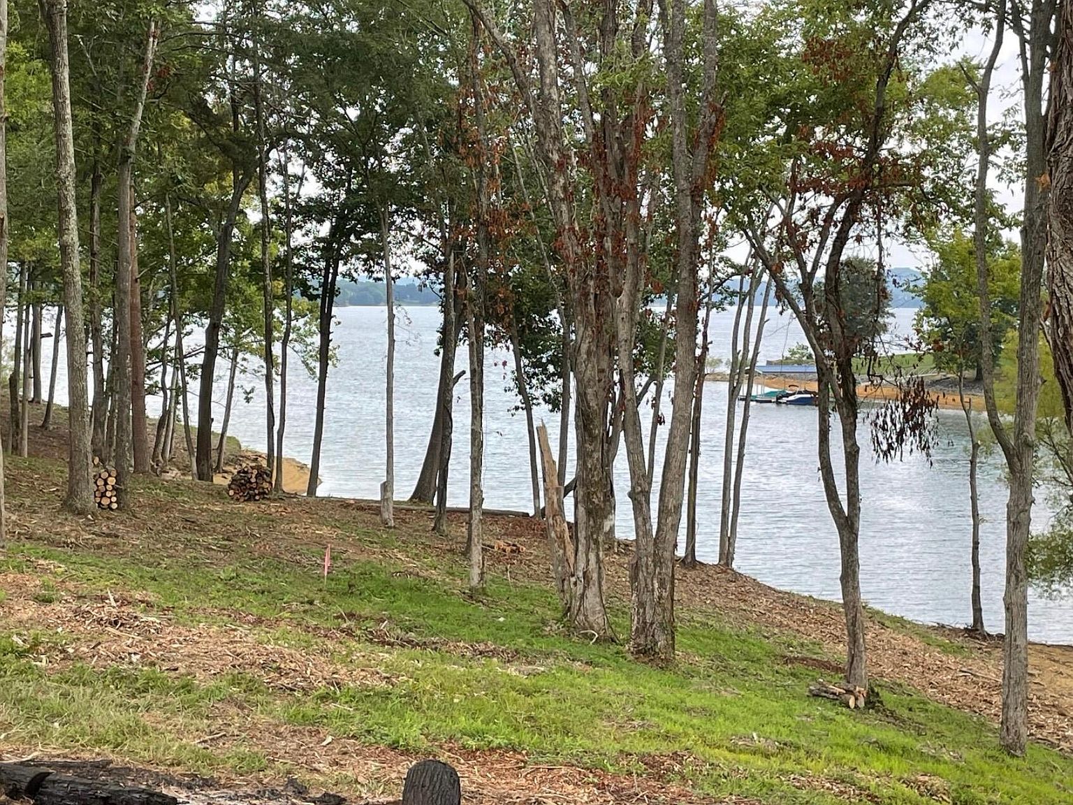 39 English Mountain Point, White Pine, TN 37890 | MLS #706907 | Zillow