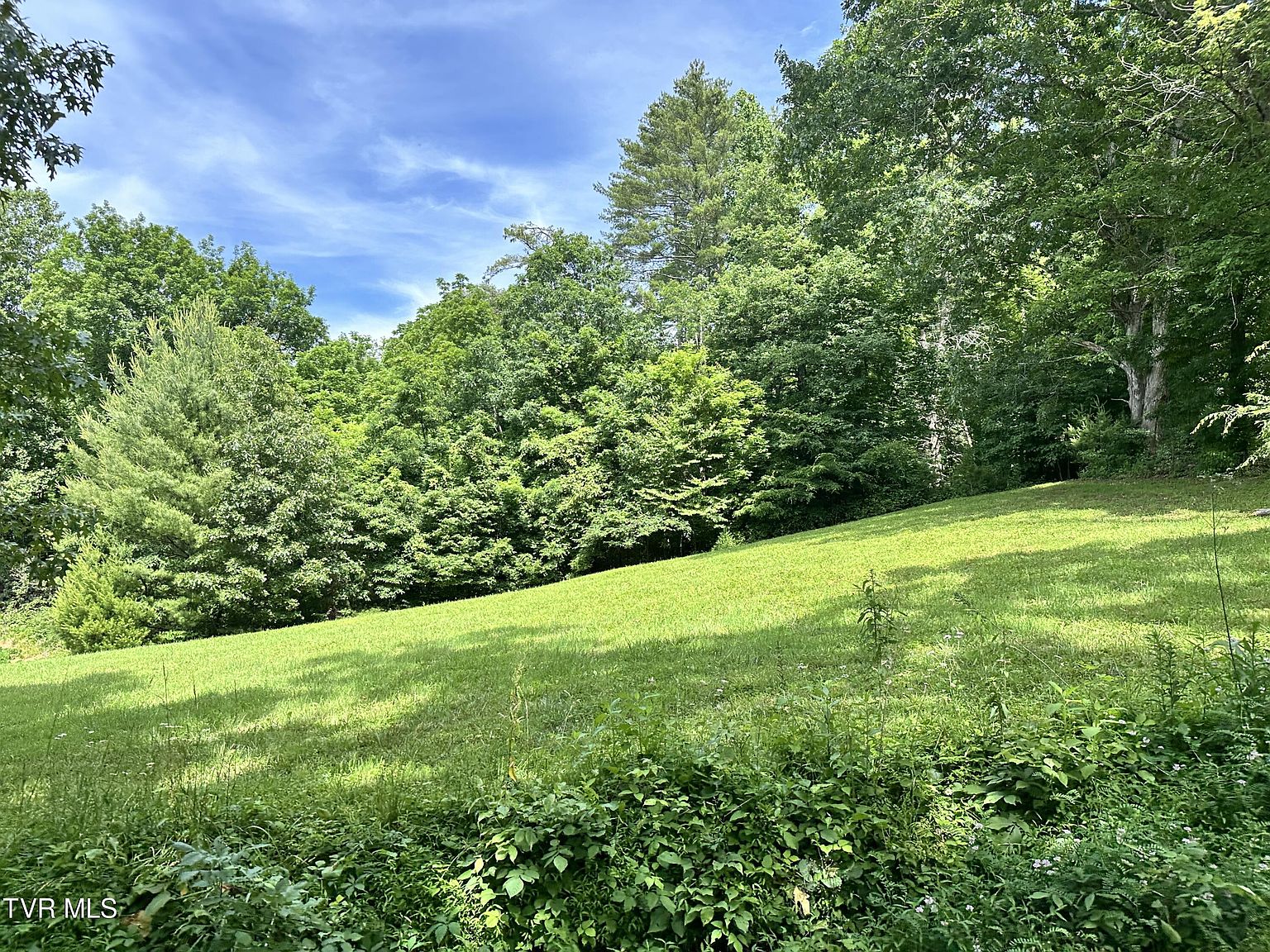 Hickory Cir, Butler, TN 37640 | MLS #9967943 | Zillow