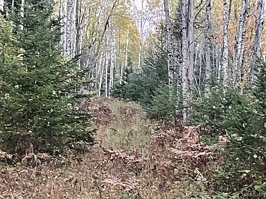 Tbd Ross Grade, Arnold, MI 49819 | Zillow