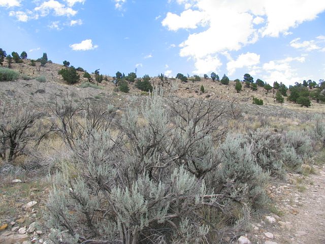 700 N Spring Canyon Rd, Helper, UT 84526 | Zillow