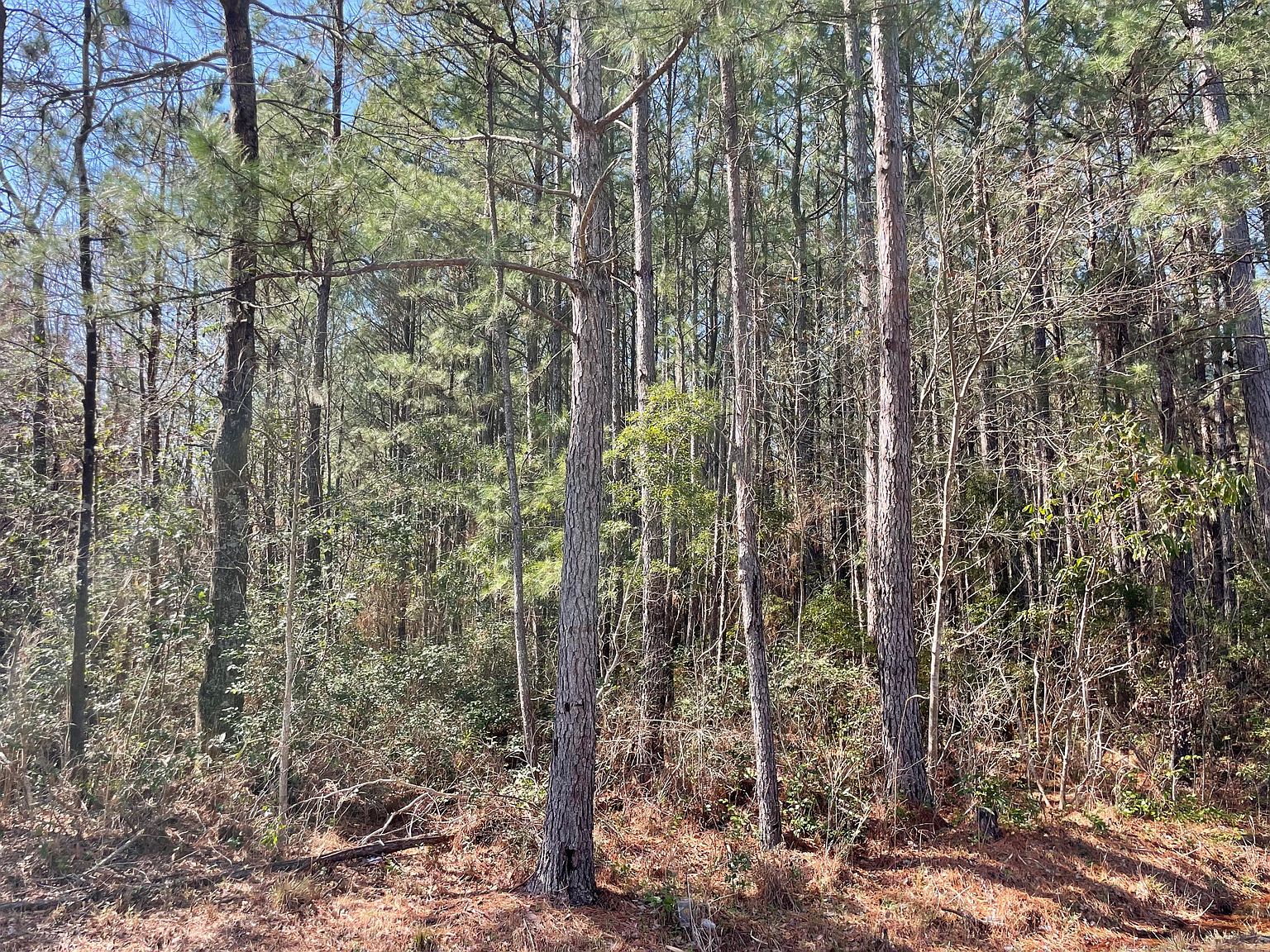 0 George Wigfall Rd, Cross, SC 29436 | Zillow