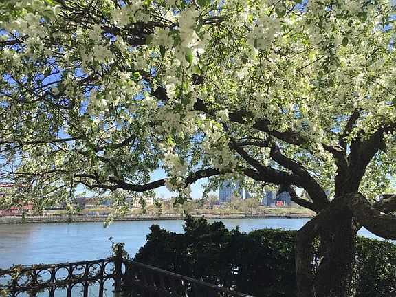 16 Sutton Sq, New York, NY 10022 | Zillow