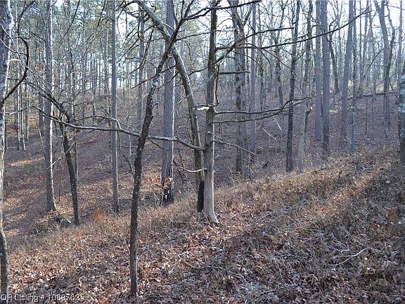 Henry Mountain Forrest Service Rd, Waldron, AR 72958 | MLS #1069762 ...