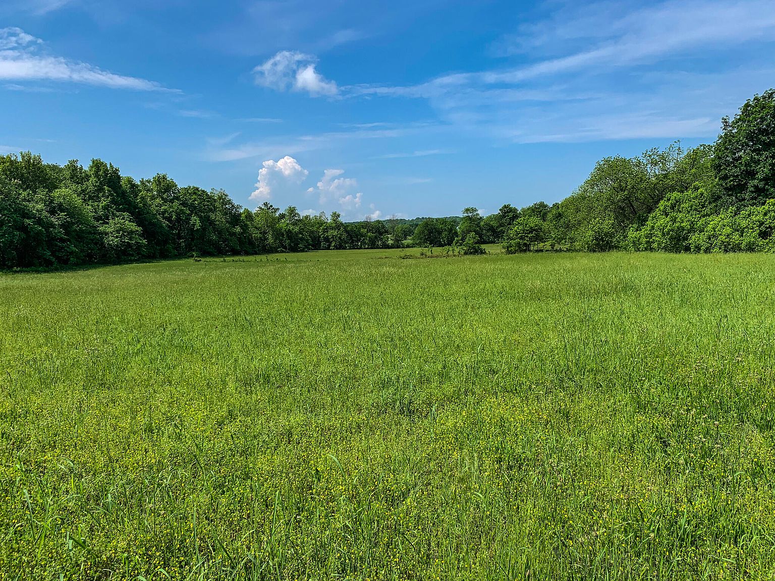000-1 County Road 955, Squires, MO 65755 | Zillow