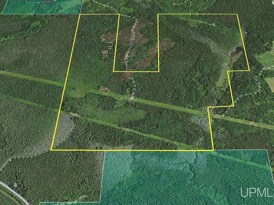 Co Road Sq, Arnold, MI 49819 | MLS #50101446 | Zillow